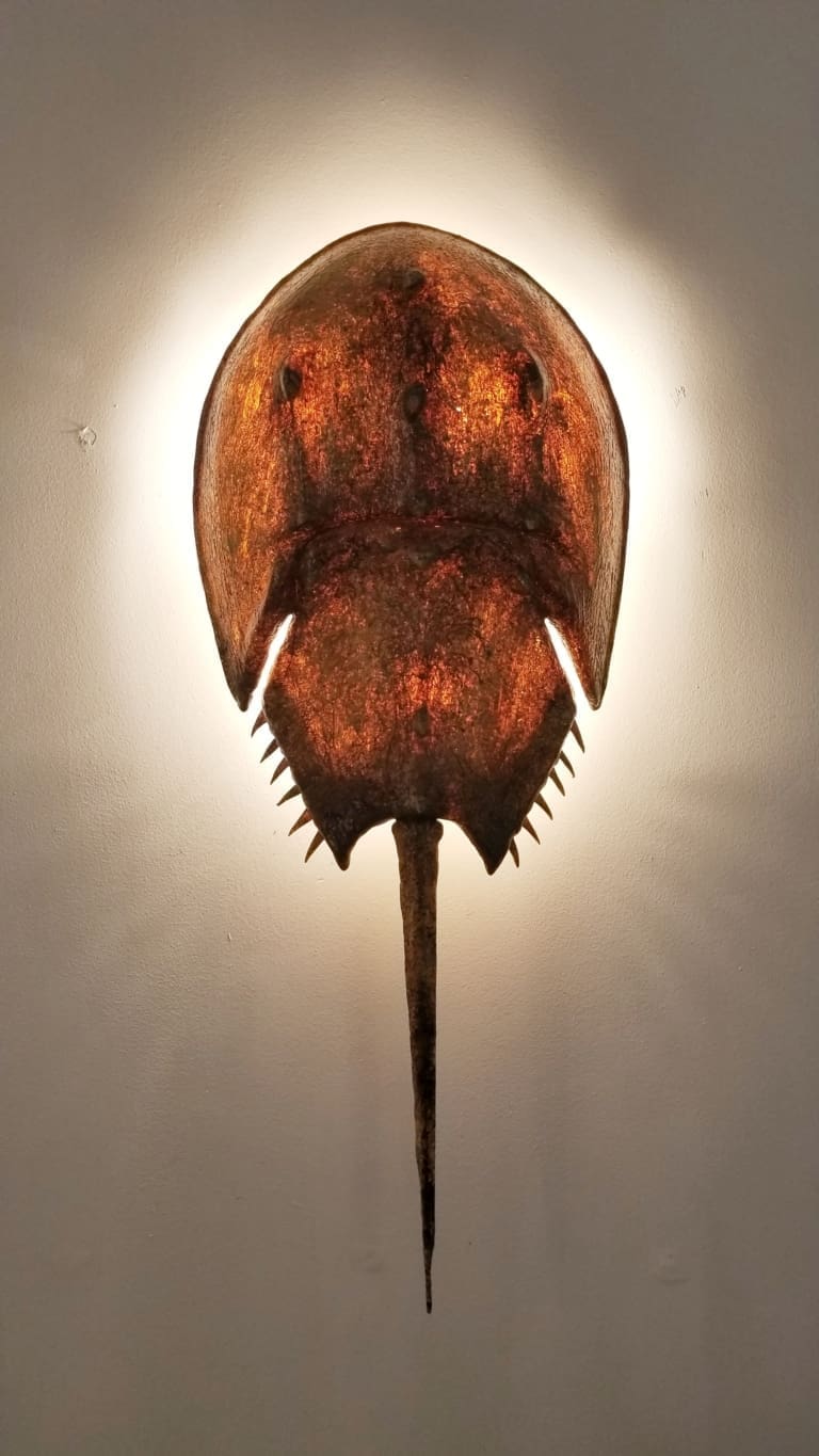 Ed Koehler: Custom Sculptures for Luxury Spaces and Collectors