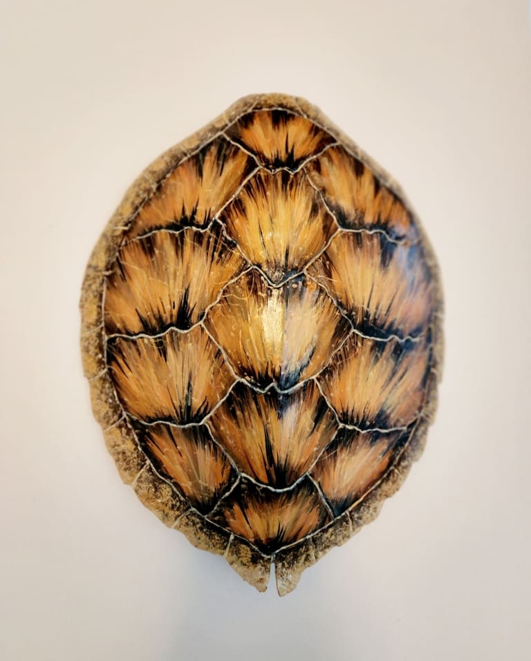 Ed Koehler: Custom Sculptures for Luxury Spaces and Collectors